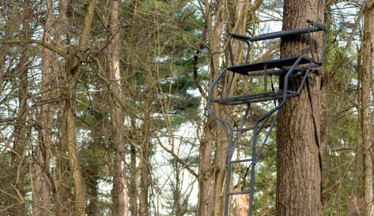 The Best Ladder Stand For Big Guys In 2024: Heavy-Duty Tree Stands That ...